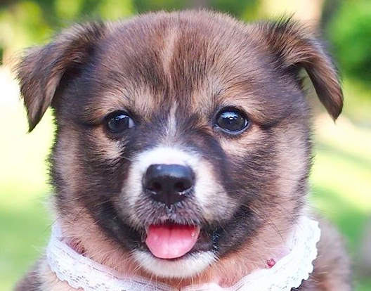 Emma - Love second chances