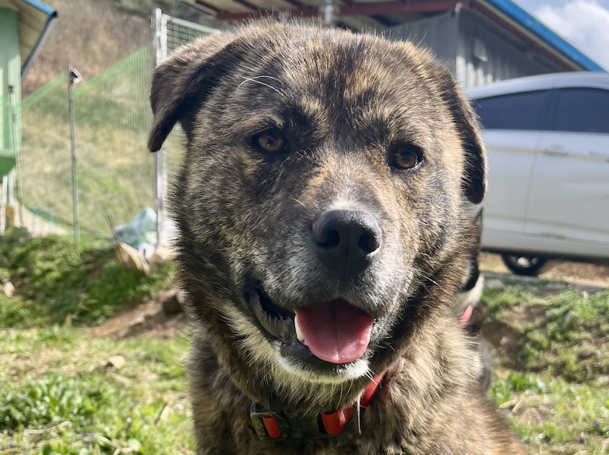 Bat - Love second chances